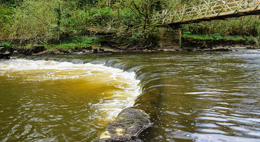 Thank you - Benburb Priory